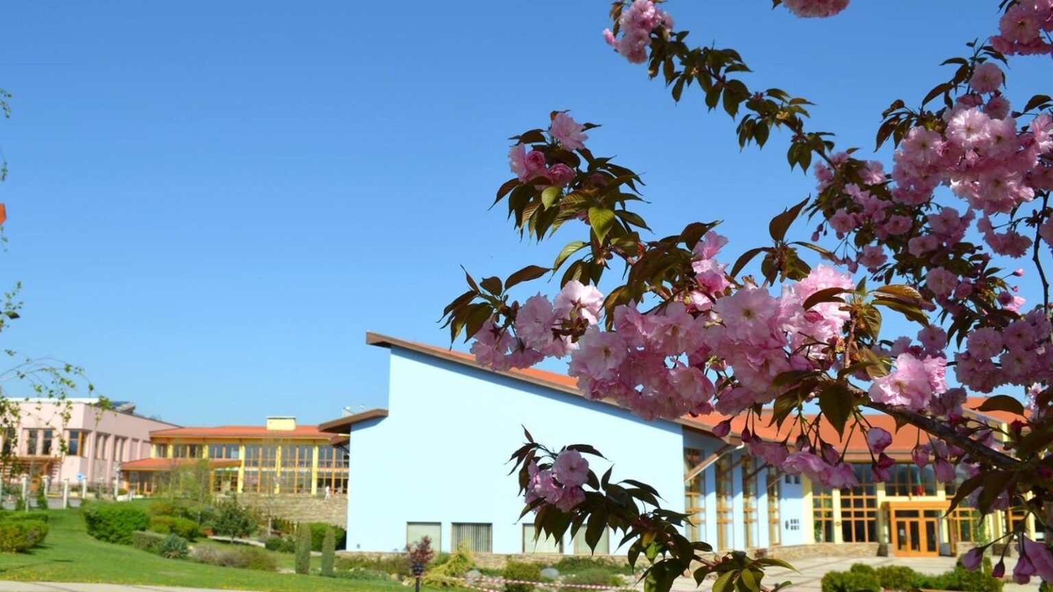 Georgetown International Academy - School Rubric