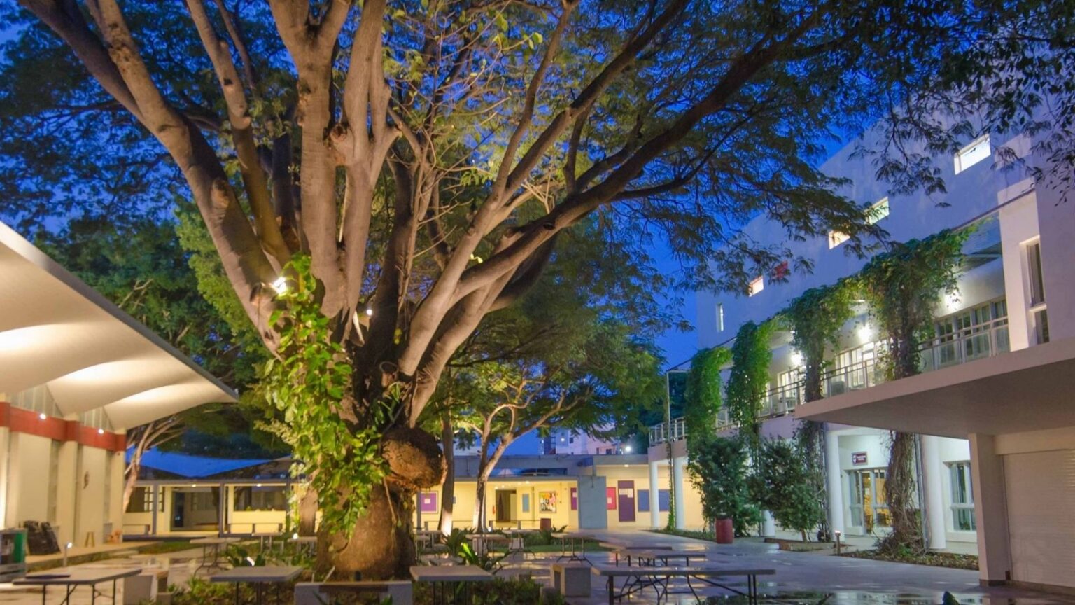 Shanghai American School (Pudong Campus) - School Rubric