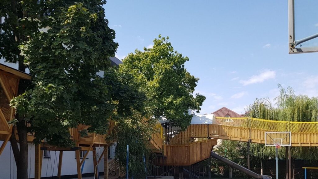 Georgetown International Academy - School Rubric